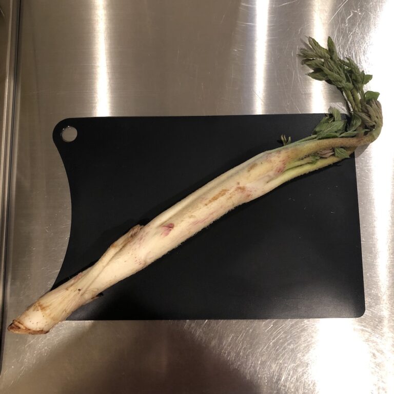 UDO miso soup recipe – JAPANESE COOKING CHANNEL