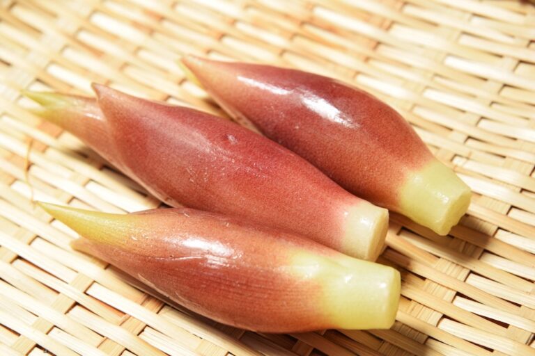 What Is Myoga and How Is It Used? – JAPANESE COOKING CHANNEL