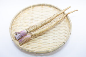 O que é o Gobo e como é utilizado? | 100% PURA JAPÃO | ISNCA