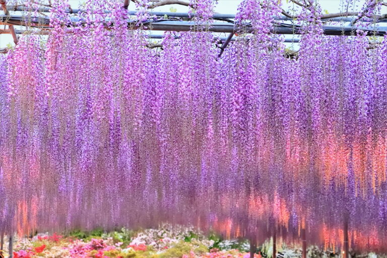 12 “Demon Slayer” Real Life Locations in Japan (Kimetsu no Yaiba ...