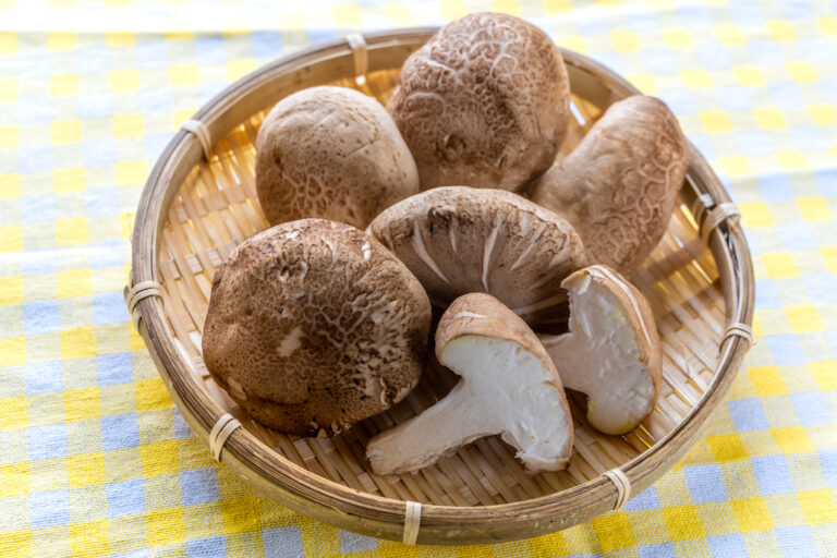 8 Common Types of Dashi and Their Uses – JAPANESE COOKING CHANNEL