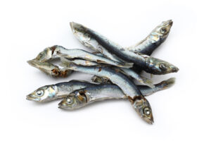 8 Common Types of Dashi and Their Uses – JAPANESE COOKING CHANNEL