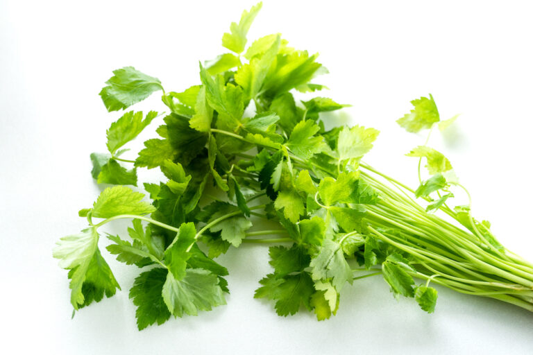 What Is Mitsuba and How Is It Used? | JAPANESE COOKING CHANNEL ...