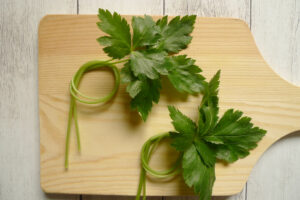 What Is Mitsuba and How Is It Used? – JAPANESE COOKING CHANNEL