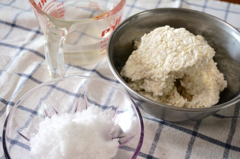 The 10 Best Salted Rice Malt (Shio Koji) Substitutes – JAPANESE COOKING ...